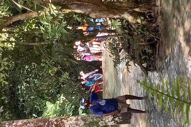 Dunn's River Falls From Falmouth - A Deep Dive Into the Dunn’s River Falls From Falmouth Tour