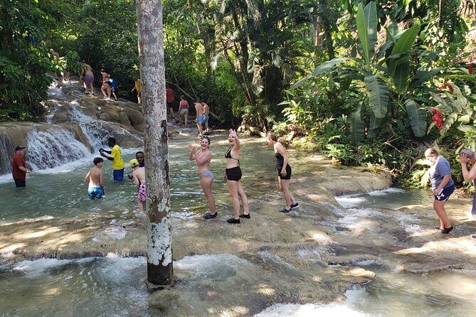 Dunn's River Falls Half Day Tour From Montego Bay - The Sum Up: Who Should Consider This Tour?