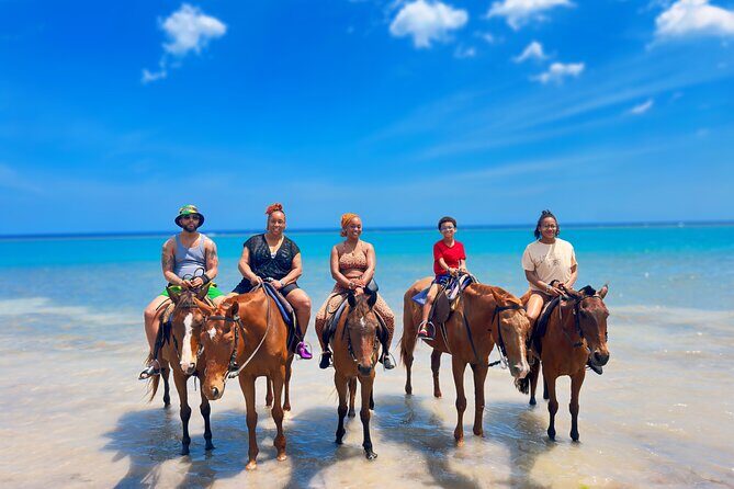 Dunns River Falls & Horseback Ride n Swim Guided Tour - Key Points
