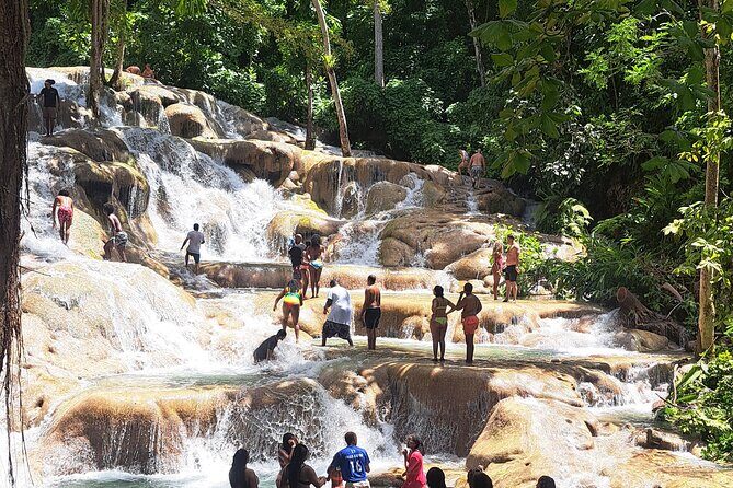 Dunn's River Falls & Island Village, Private Tour from Kingston - The Full Experience: What to Expect from the Tour