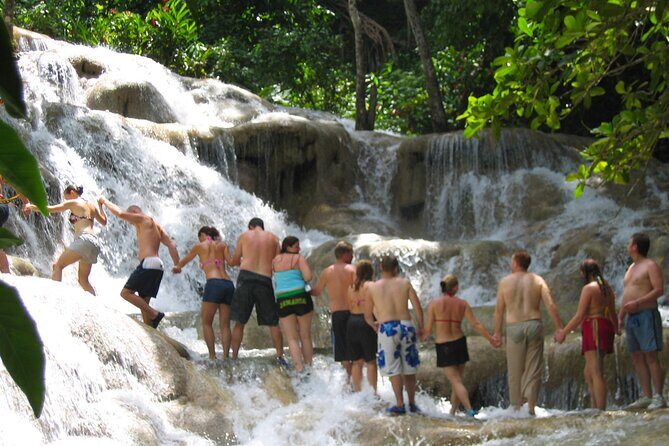 Dunn's River Falls & Luminous Lagoon Guided Tour from Montego Bay - An In-Depth Look at the Tour Itinerary