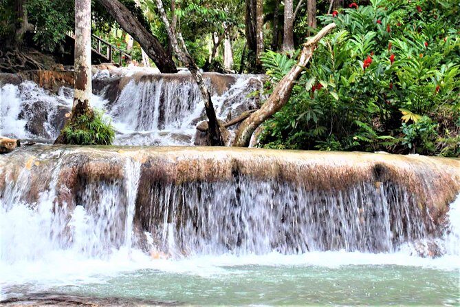 Dunn's River Falls & Luminous Lagoon Guided Tour with Admission from Falmouth - An In-Depth Look at the Tour Experience