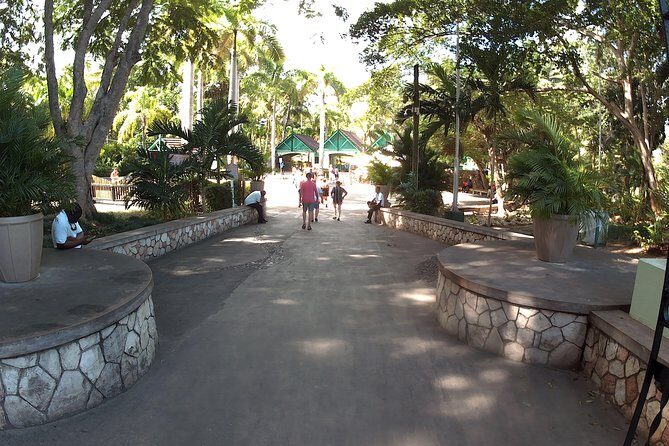 Dunns River Falls Park and Beach - Practical Tips for Participants