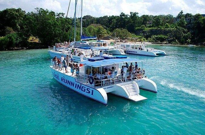 Dunn's River Falls Party Cruise, Blue Hole with Snorkeling, free beverages - Who Should Consider This Tour?