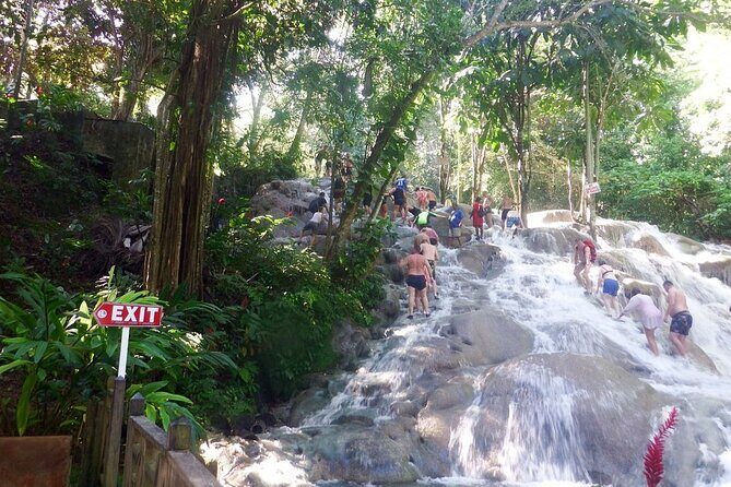 Dunns River Falls Private Day Tour - The Details of the Dunns River Falls Private Day Tour