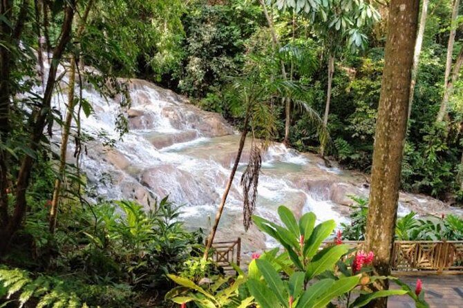 Dunn's River Falls Private Tour - The Sum Up: Is This Tour Right for You?