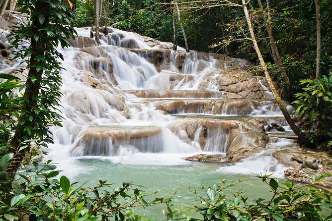 Dunn's River Falls Private Tour from Montego Bay - Key Points