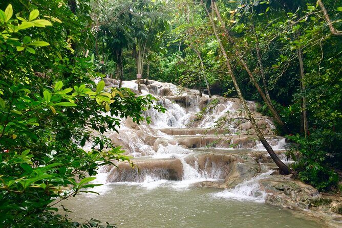 Dunn's River Falls Private Tour from Montego Bay - The Return Trip and Relaxed Finish