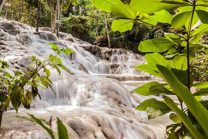 Dunn's River Falls Private Tour from Montego Bay - The Value and Practicality