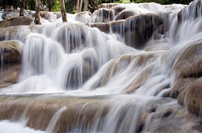 Dunn's River Falls Private Tour from Montego Bay - Who Will Love This Tour?
