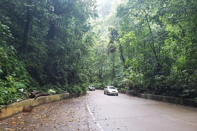 Dunns River Falls Scenic Tour - The Journey to Dunns River: From Kingston to the North Coast