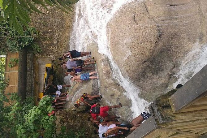 Dunns River Falls Scenic Tour - Authentic Reviews that Tell the Story