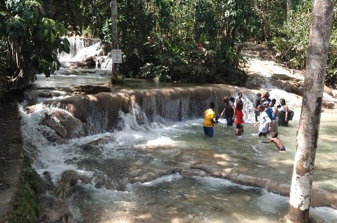 Dunns River Falls Taxi from Hotels and Airbnb/Villa in Ocho Rios - Who Should Book This Service?