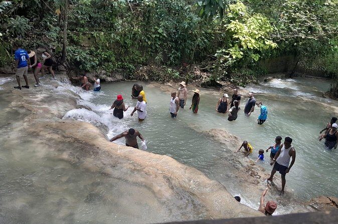 Dunns River Falls Taxi from Hotels and Airbnb/Villa in Ocho Rios - The Sum Up: A Practical Choice for a Classic Jamaica Adventure