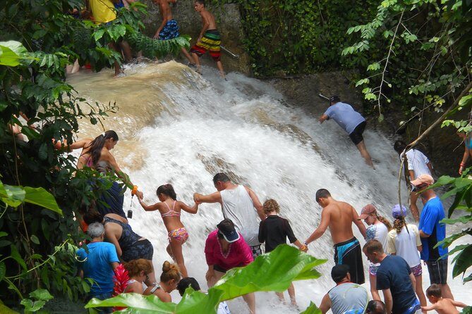 Dunn's River Falls Tour from Ocho Rios - What to Expect from the Itinerary
