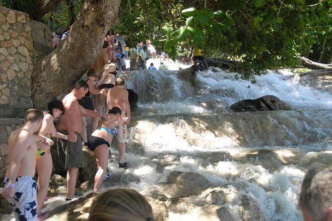 Dunn's River Falls Tour from Ocho Rios - Value and Cost Analysis