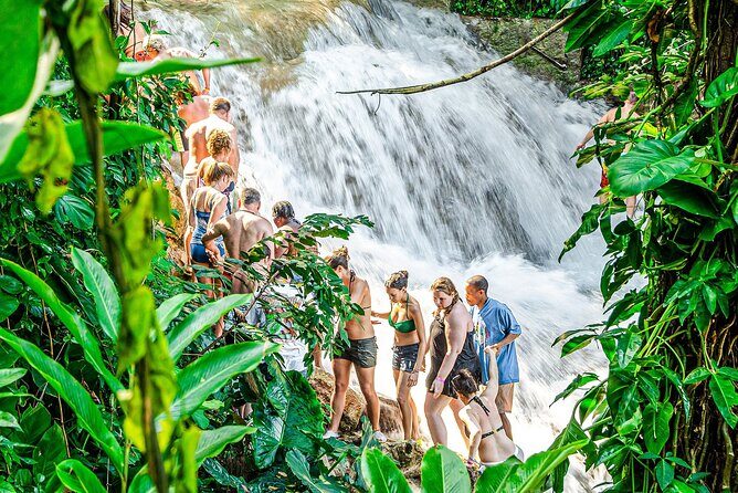 Dunn's River Falls with Catamaran Cruise Tour from Montego Bay - Who Should Consider This Tour?
