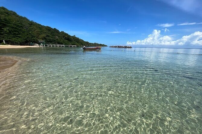 Dunns River Falls With Private Transportation from Montego Bay - Why Choose this Tour?