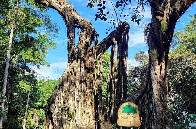 Dunns River Falls With Private Transportation from Montego Bay - Practical Tips