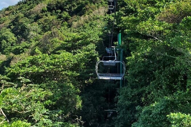 Dunns River Falls,Zip lining & horseback riding Combo tour from Montego Bay - The Sum Up: Who Will Love This Tour?