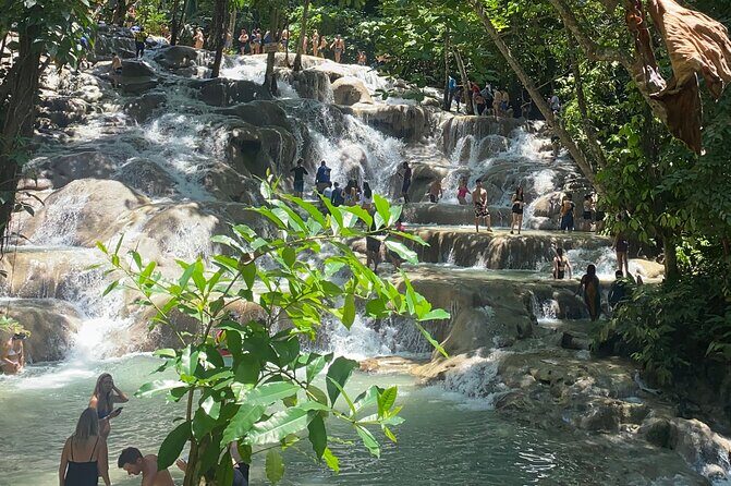 Dunns River Private Tour - An In-Depth Look at the Dunns River Private Tour