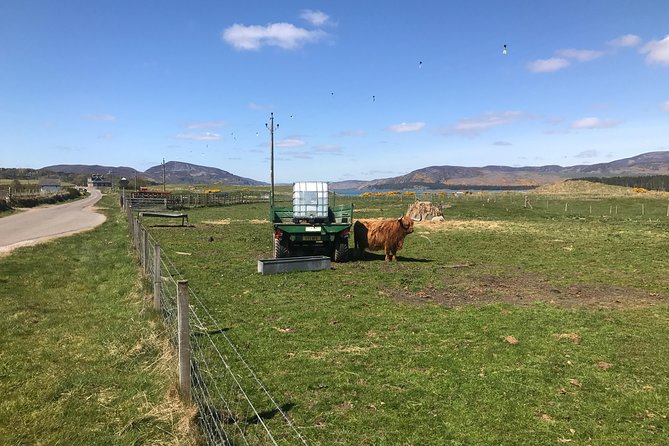 Dunrobin Castle Private Tour - The Sum Up