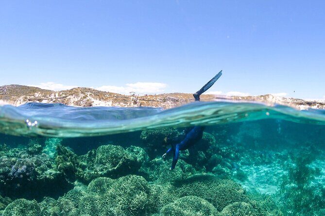 Dunsborough Eco and Snorkel Boat Tour - Practical Details and Tips