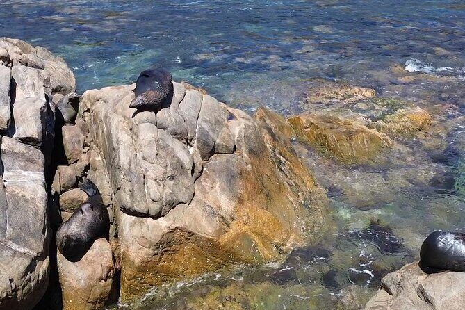 Dunsborough Eco and Snorkel Boat Tour - FAQ