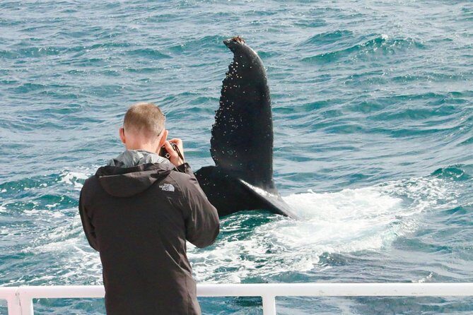 Dunsborough Whale Watching Eco Tour - FAQs