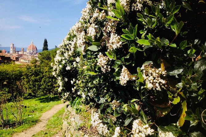 Duomo Complex Guided Tour With Cupola Entry Tickets - Climbing to the Cupola