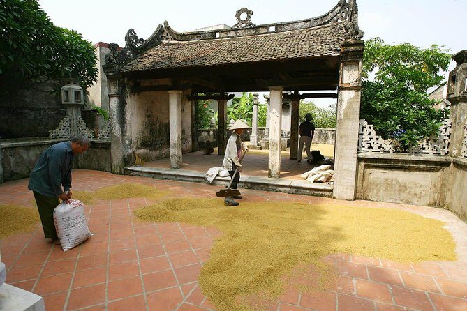 Duong Lam Ancient Village Countryside in Hanoi - A Snapshot of the Tour Experience
