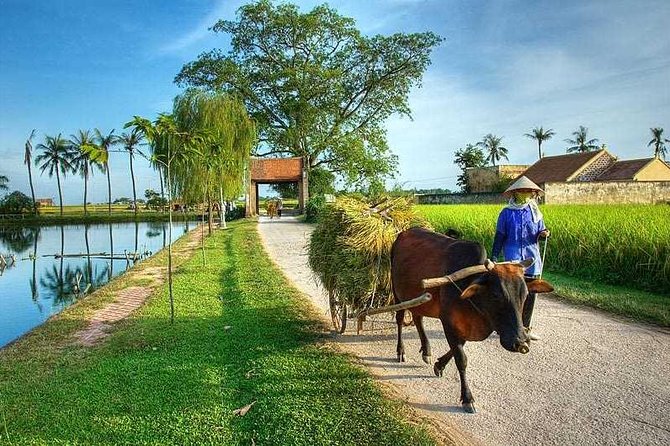 Duong Lam Ancient Village full day tour from Hanoi & experiencing local life - Starting the Day: Comfort and Convenience