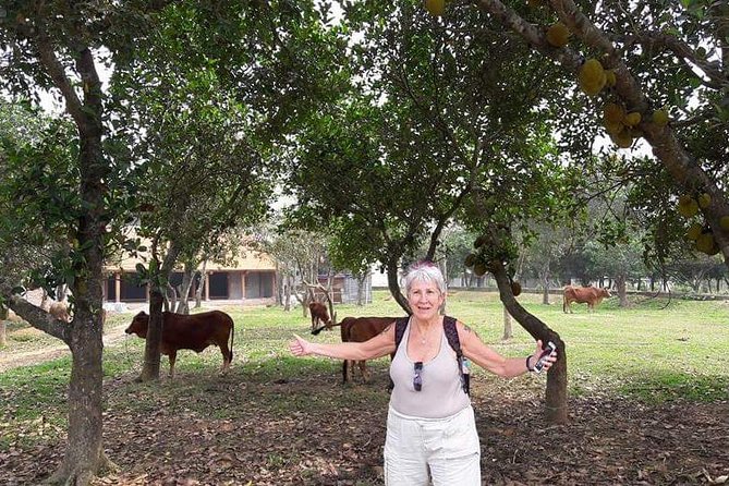 Duong Lam Ancient Village Private Tour - Who Will Love This Experience?