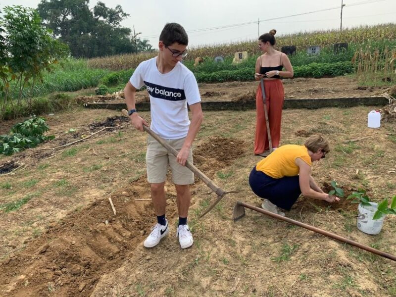 Duong Lam Ancient Village - Who Will Love This Tour?