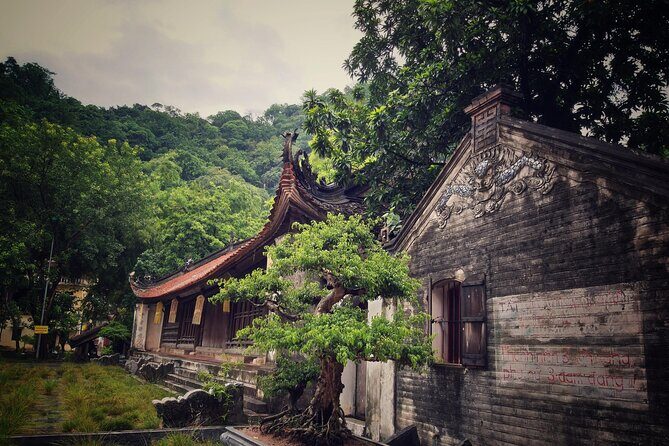Duong Lam ancient village - Thay Pagoda - Van Phúc silk - Who should consider this tour?