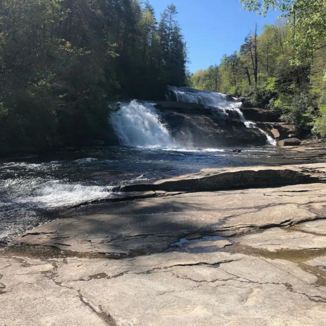 DuPont Forest: Private Coffee Hike® to Three Waterfalls - Setting the Scene in DuPont State Forest