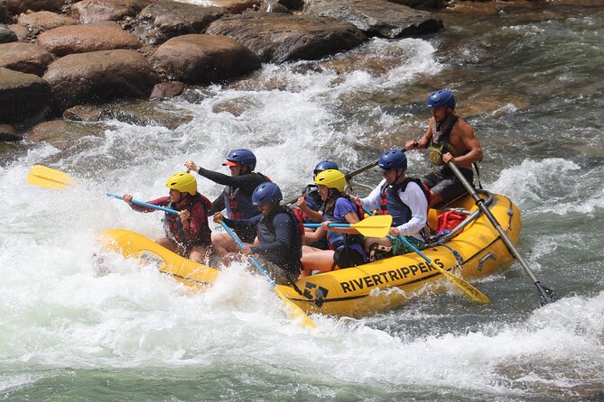 Durango 4.5 Half-Day Rafting Trip Down the Animas River - Safety Measures and Guidelines