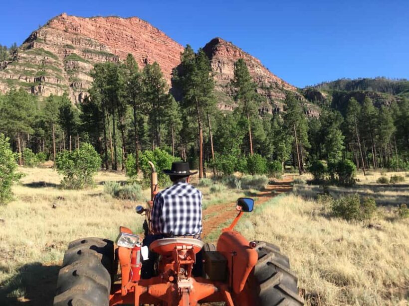 Durango: Bar D Chuckwagon Supper and Show Ticket - Final Thoughts