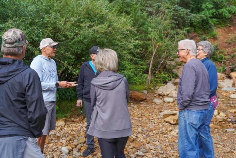 Durango Half Day Jeep Tour - La Plata Canyon - A Deep Dive into the La Plata Canyon Jeep Tour