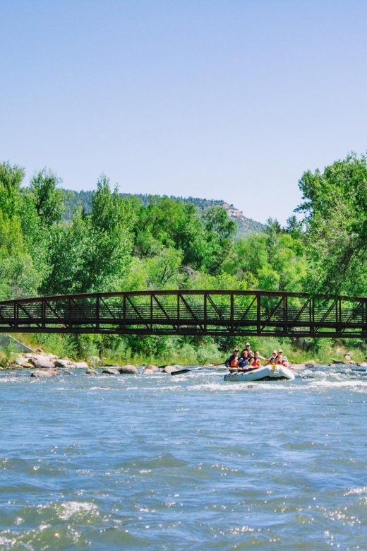 Durango Half Day Rafting Trip - Lower Animas River - The Itinerary in Detail