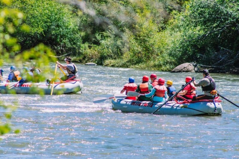 Durango Half Day Rafting Trip - Lower Animas River - Authentic Insights from Other Travelers