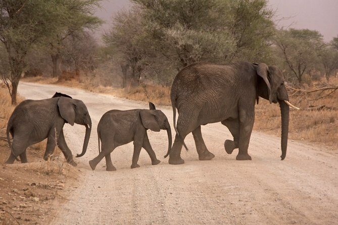 Durban: Big 5 Luxury Safari at an Award Winning Game Reserve  Zeiss Binoculars - The Itinerary in Detail