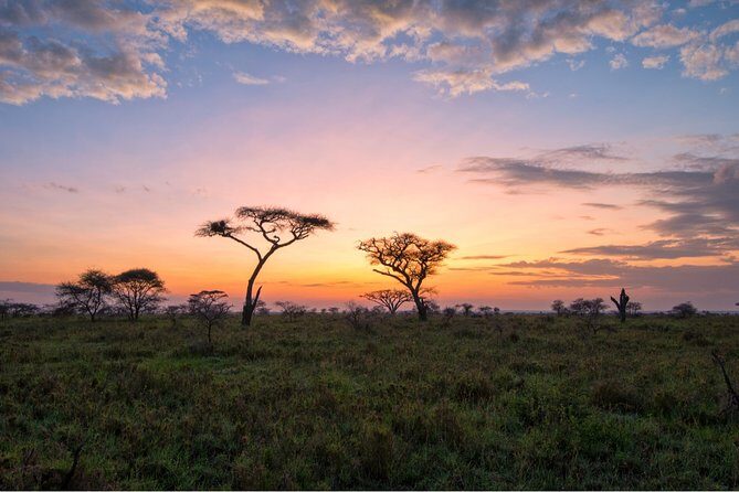 Durban: Big 5 Luxury Safari at an Award Winning Game Reserve  Zeiss Binoculars - Is This Tour Worth It?
