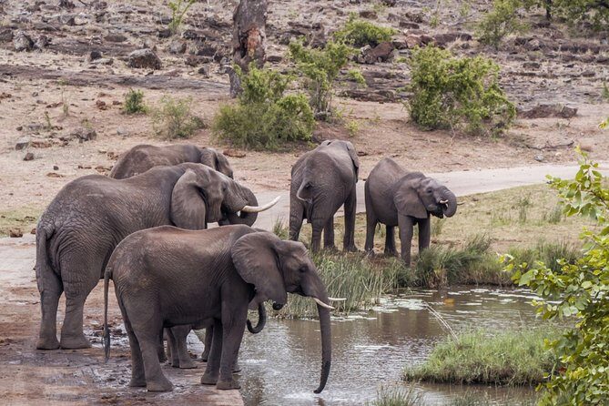 Durban: Big 5 Luxury Safari at an Award Winning Game Reserve  Zeiss Binoculars - Final Thoughts