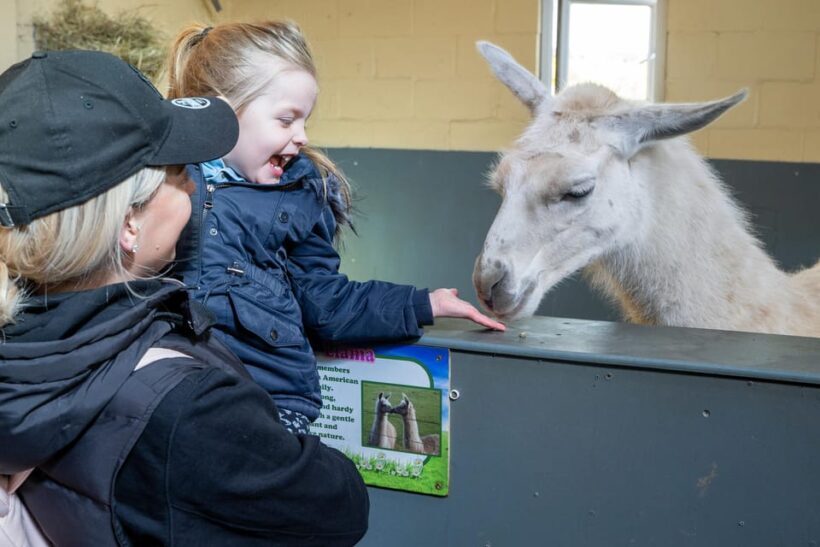 Durham: Adventure Valley Farm Park Entry Ticket - FAQ About Durham’s Adventure Valley Farm Park