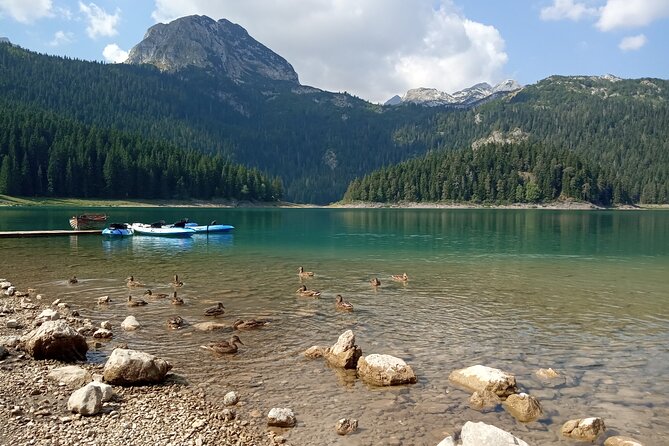 Durmitor NP private tour- Among Katuns, Shepherds and Geological Miracles - The Sum Up: Who Will Love This Tour?