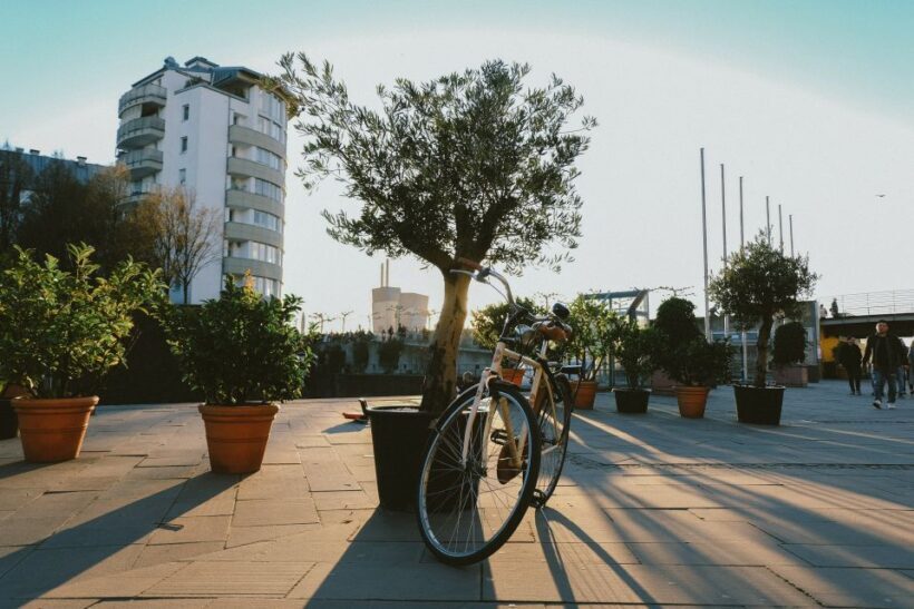 Dusseldorf: Express Walk with a Local in 60 minutes - Key Points