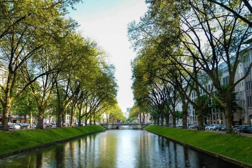 Dusseldorf : Highlights Walking tour with A Guide - Key Points