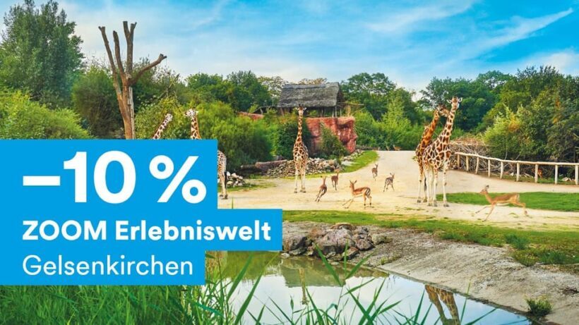 DüsseldorfCard Plus - What Are the Benefits for Travelers?