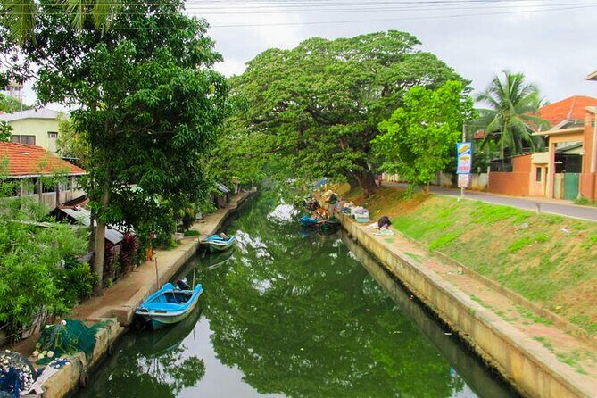 Dutch Canal Boat Tour from Negombo - An In-Depth Look at the Dutch Canal Boat Tour